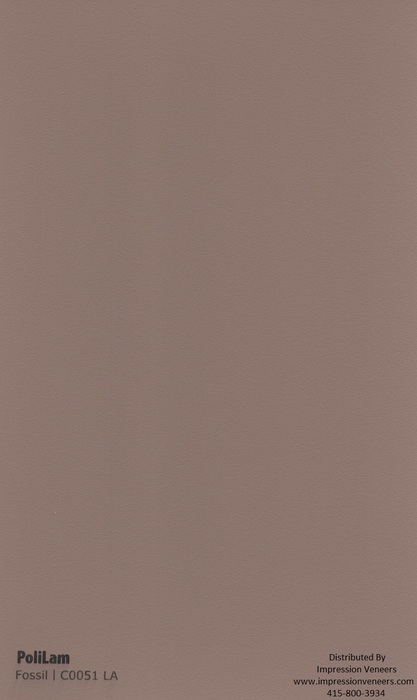 Fossil C0051 LA :: Impression Veneers